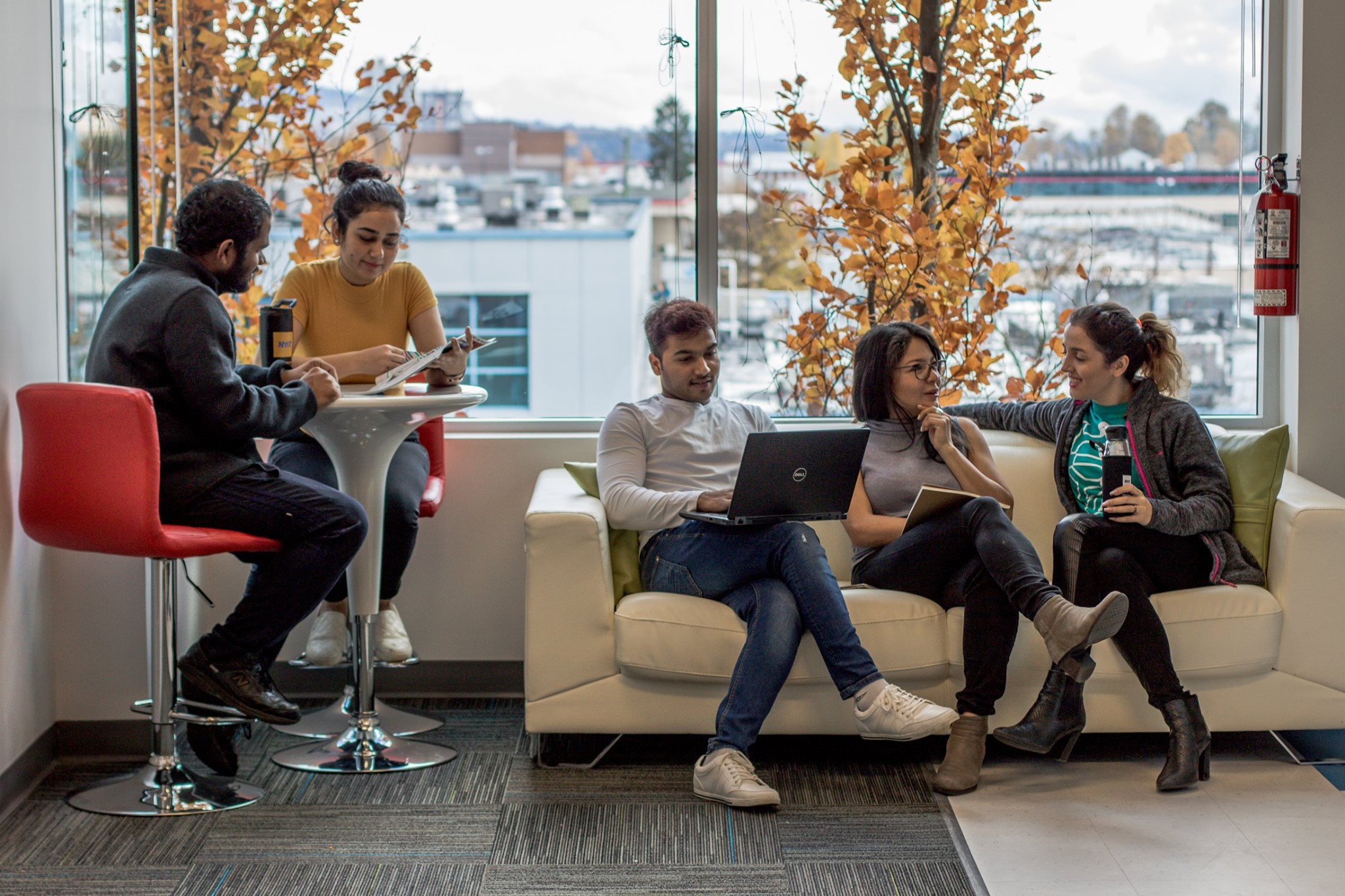 New York Institute Of Technology (NYIT) 紐約理工大學｜WOORI