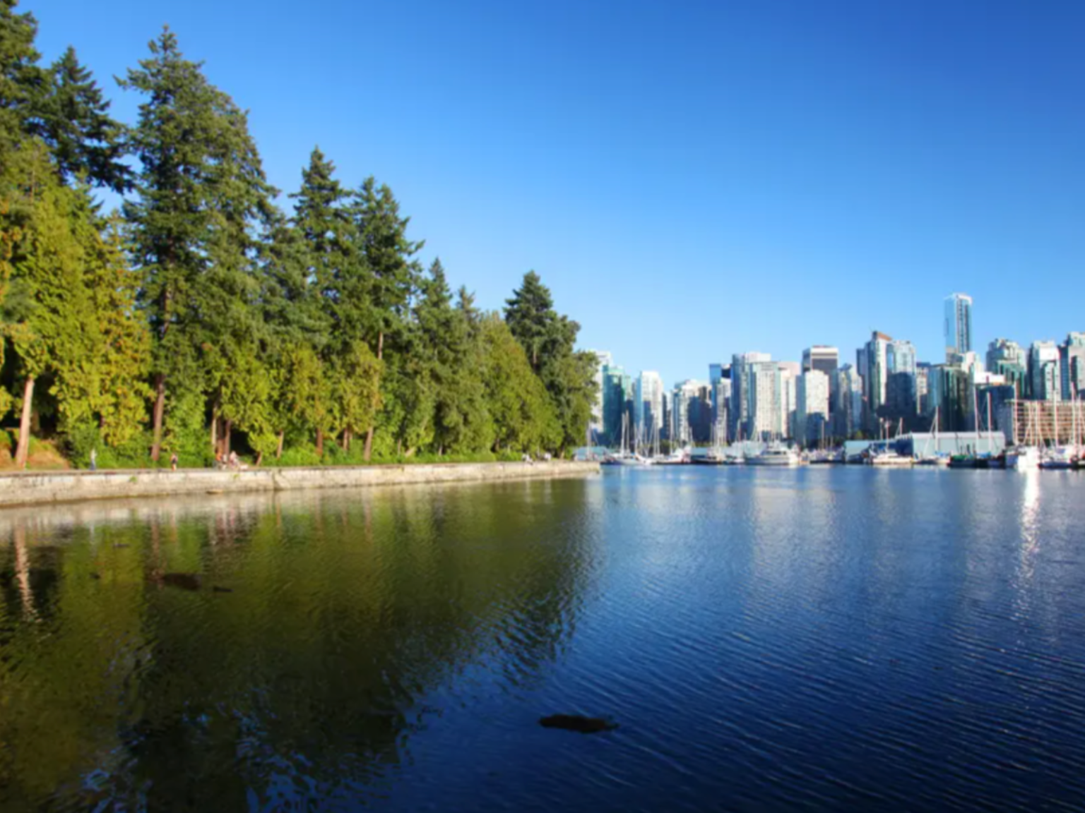 Bayswater 語言學校 學校介紹｜WOORI TAIWAN